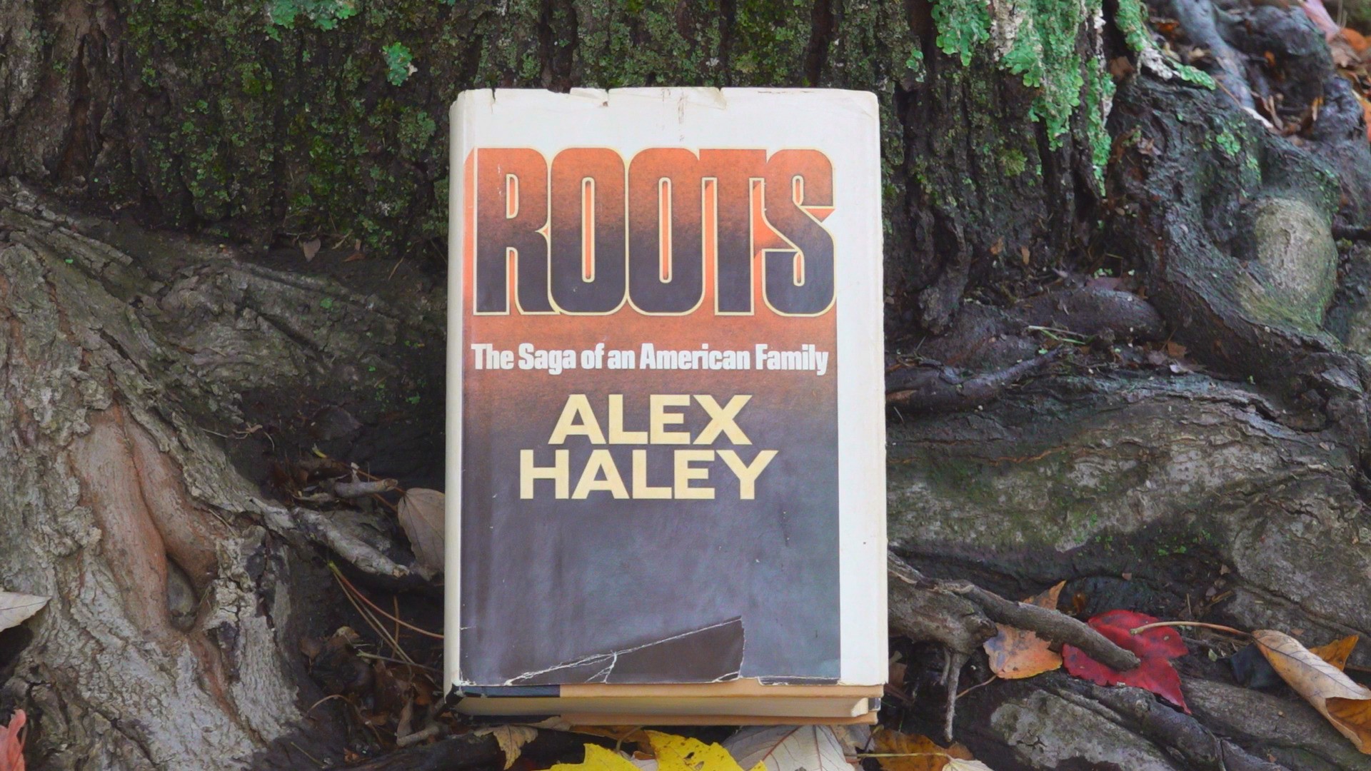 Knox County Schools adds Pulitzer Prize-winning 'Roots' to list of ...