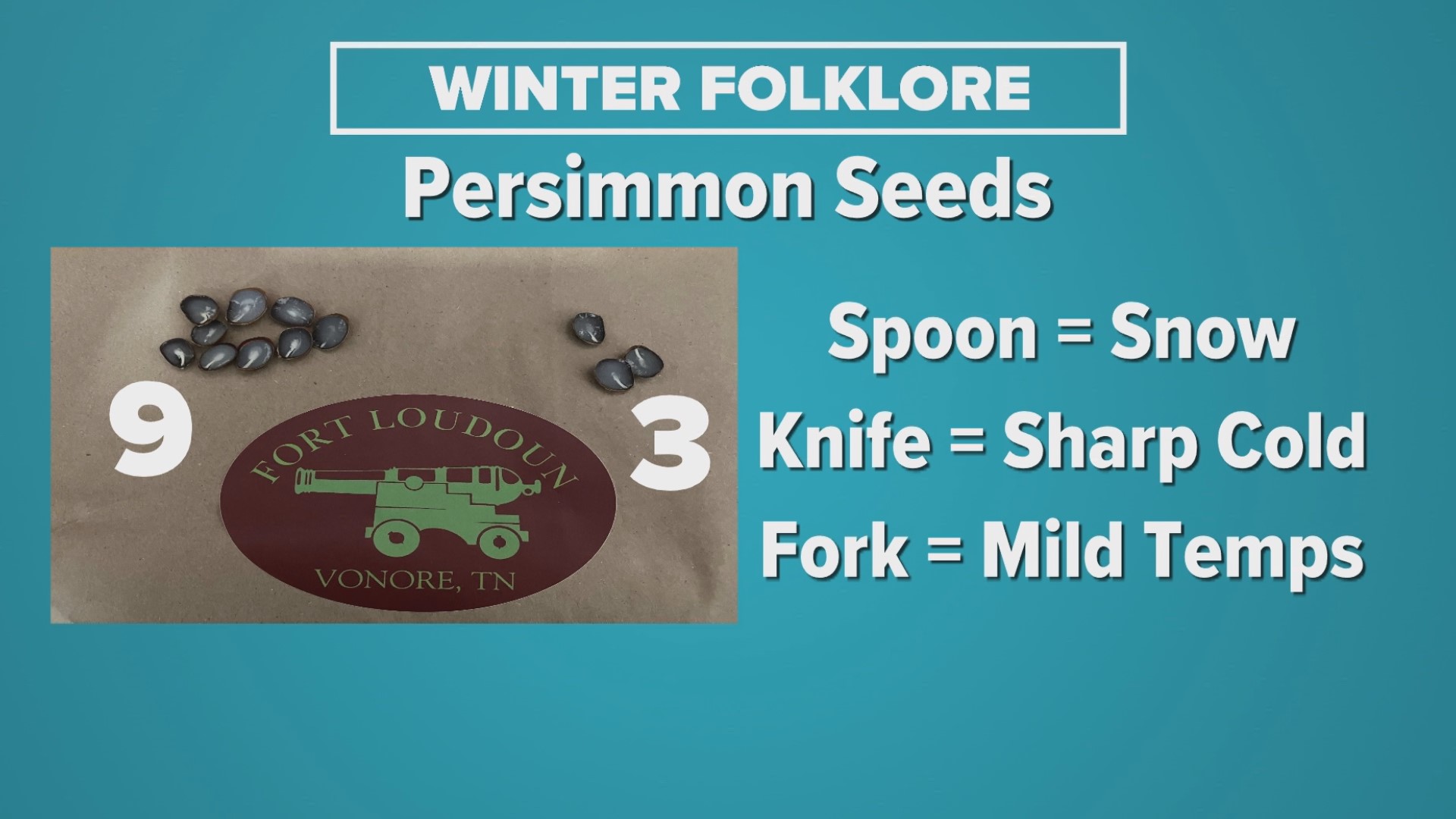 Persimmon seeds and woolly worms predict a snowy winter | wbir.com