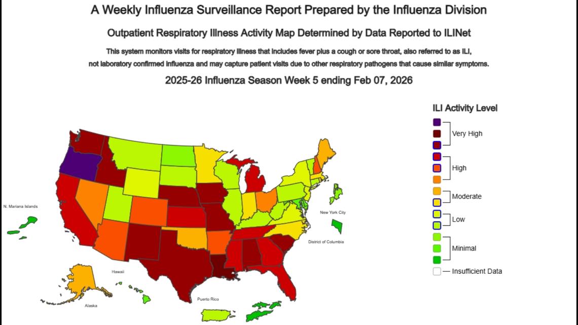 Tennessee reports first pediatric flu death of season amid high illness ...