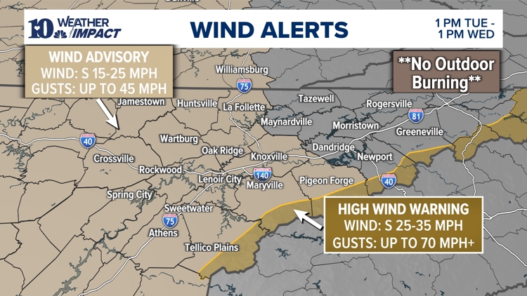 Dog trainer urges people use caution around all dogs and stay aware of ...