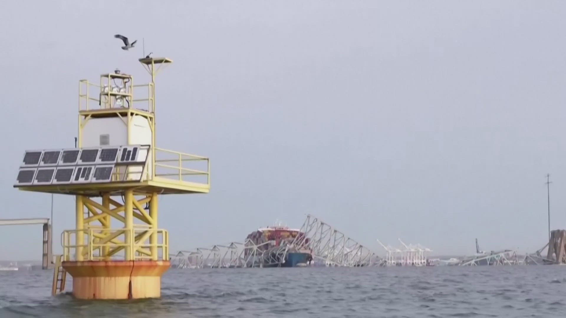 YouTuber Ruby Franke sentenced in child abuse case | wbir.com