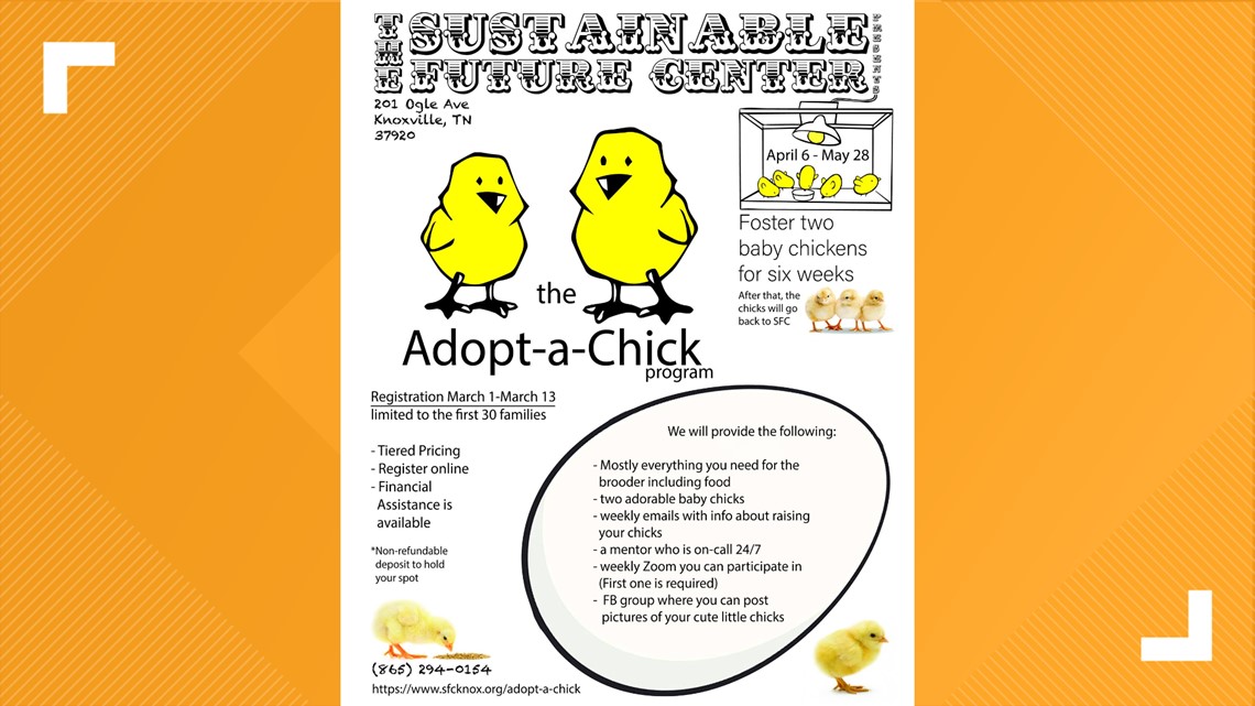 Sustainable Future Center gives families a chance to foster baby ...