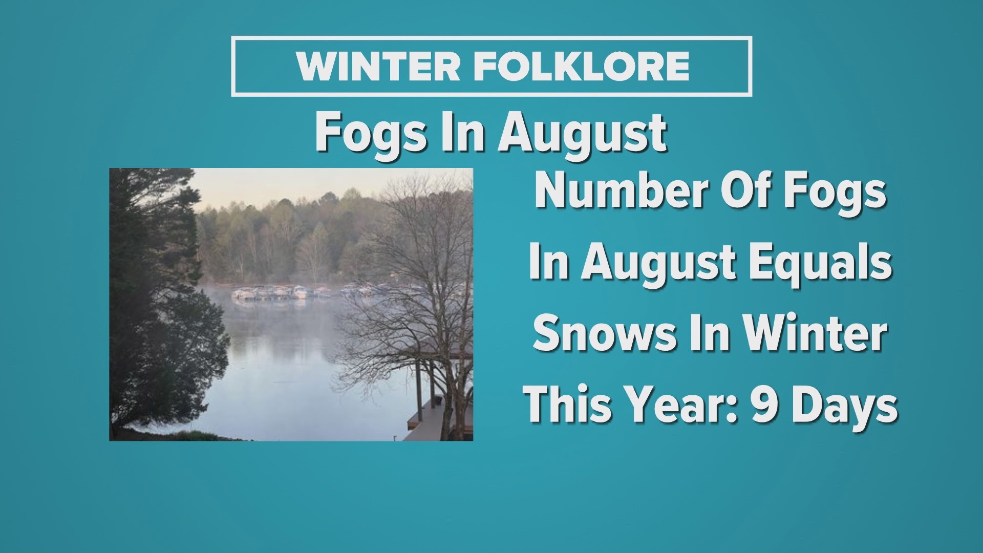 Persimmon seeds and woolly worms predict a snowy winter | wbir.com