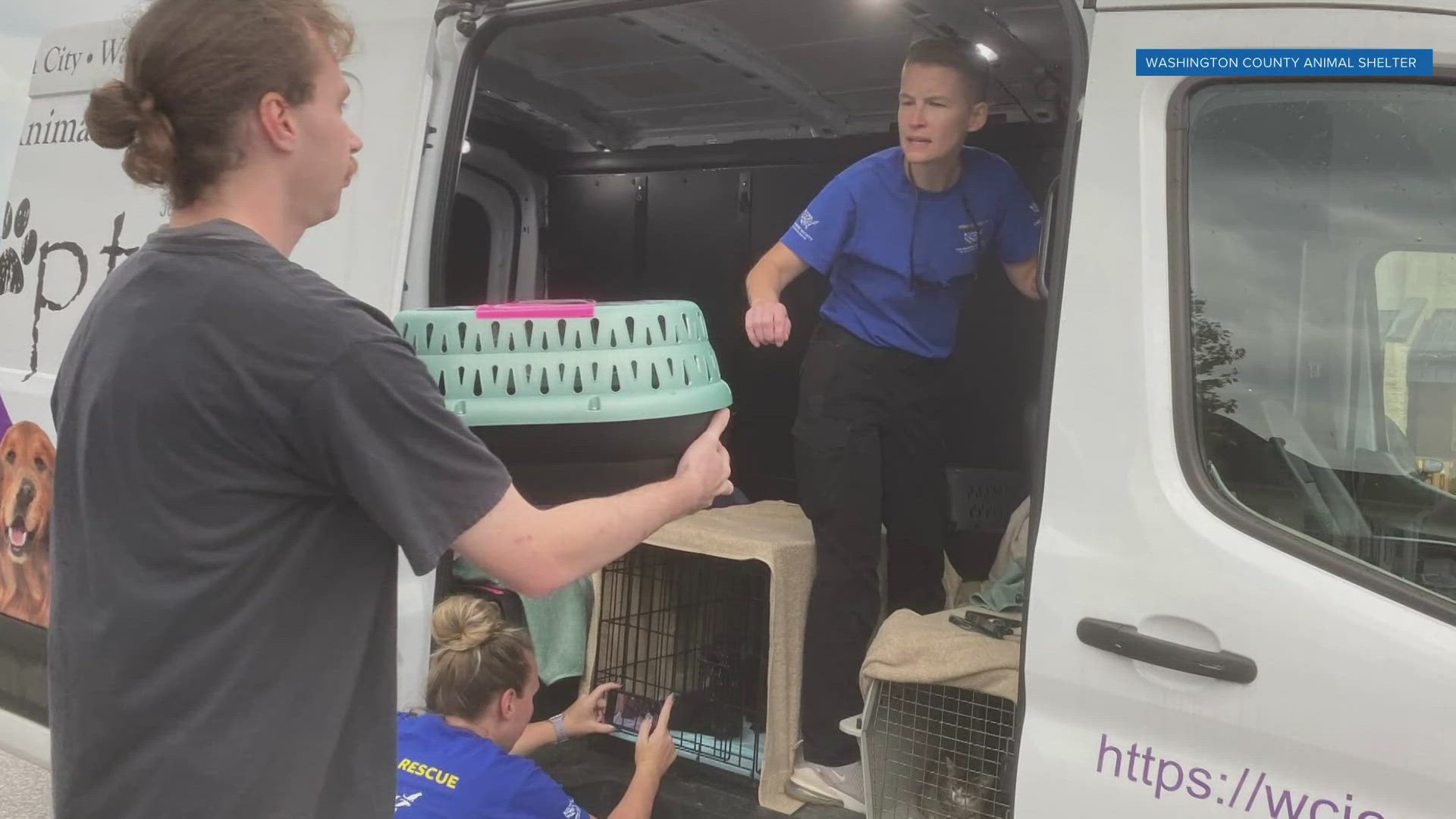 Unicoi County Animal Shelter still closed 1 year after Helene | wbir.com