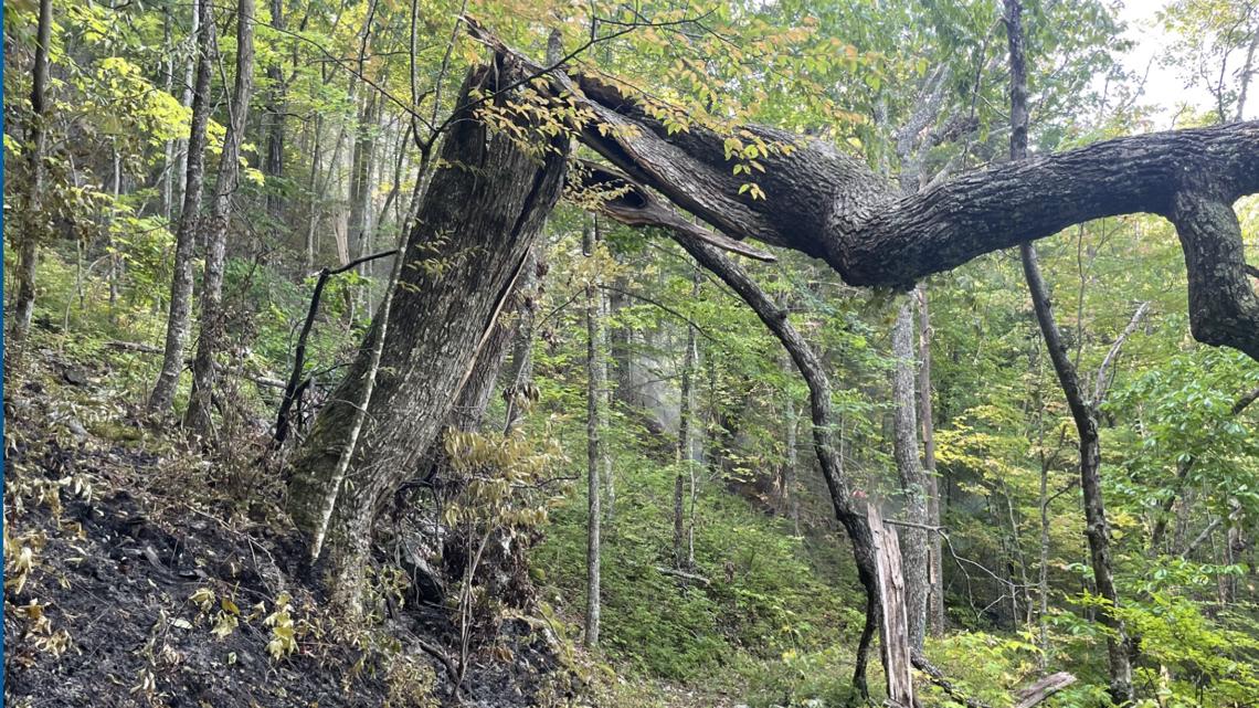 Lightning causes Flint Gap Fire in the Great Smoky Mountains, GSMNP ...