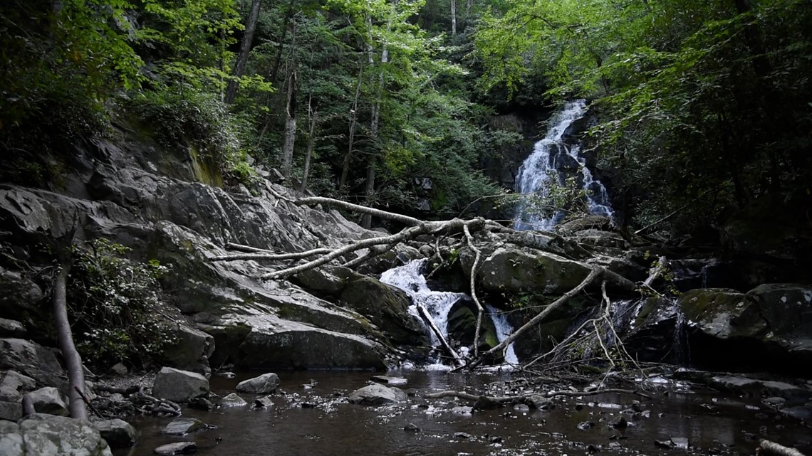 Hiking to Spruce Flats Falls in the Great Smoky Mountains | wbir.com