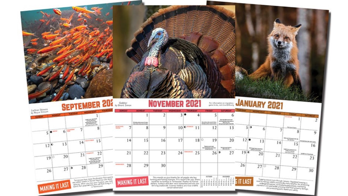 Entries being accepted for 2022 TWRA Calendar Photo Contest | wbir.com