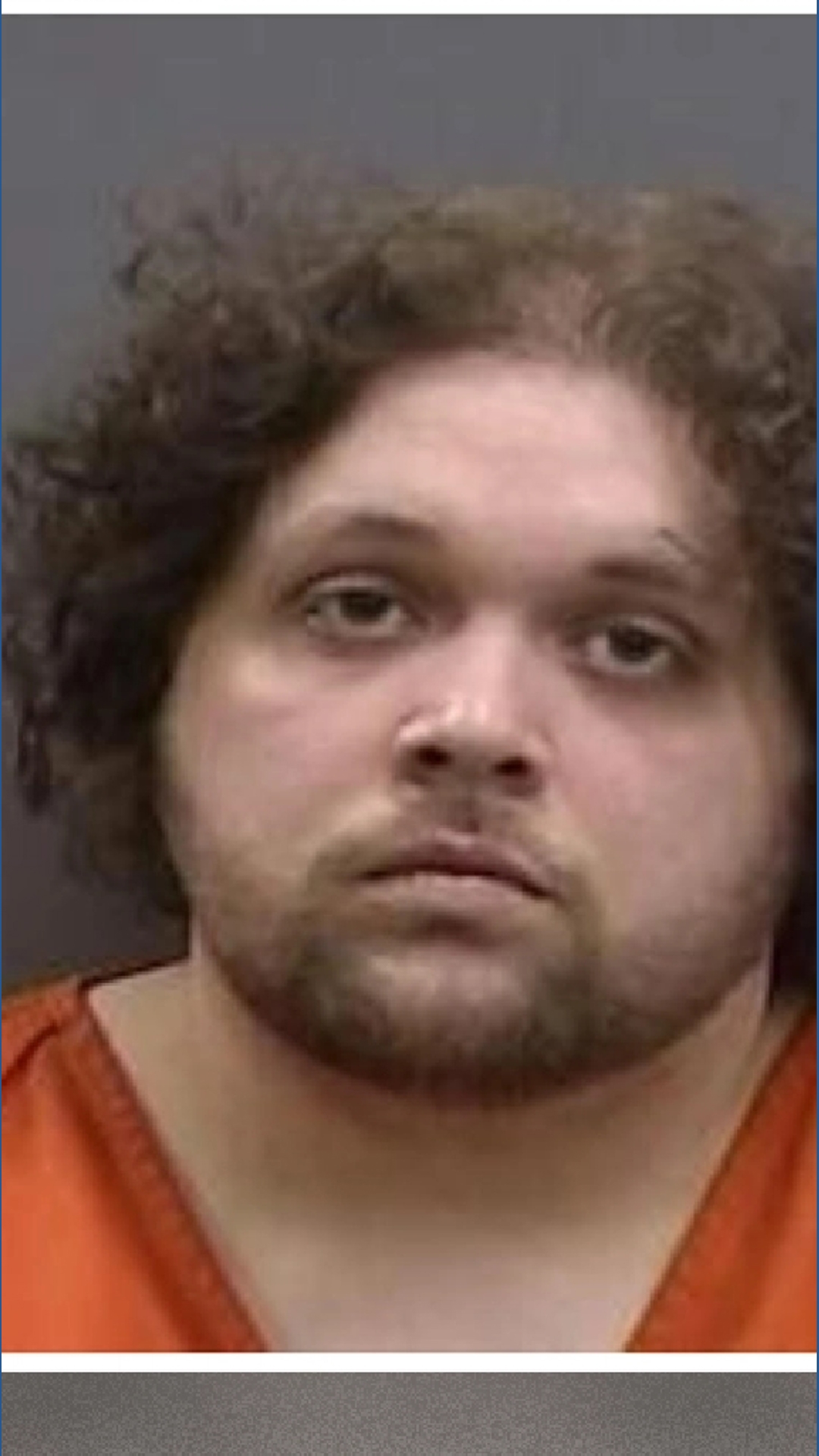Florida man accused of sexually exploiting Blount County teens online ...