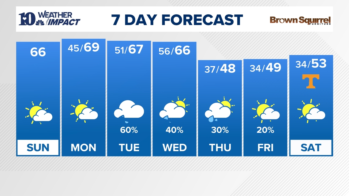 'Pearl Harbor tree' rooted in Cades Cove history | wbir.com