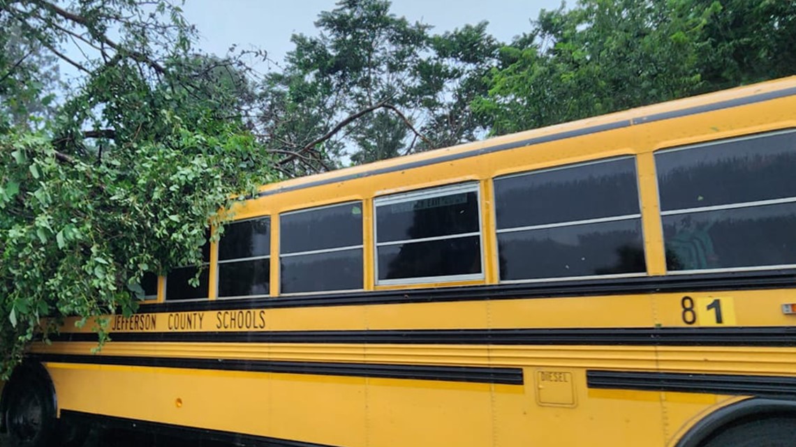 Tree falls on Jefferson County school bus with students onboard | wbir.com