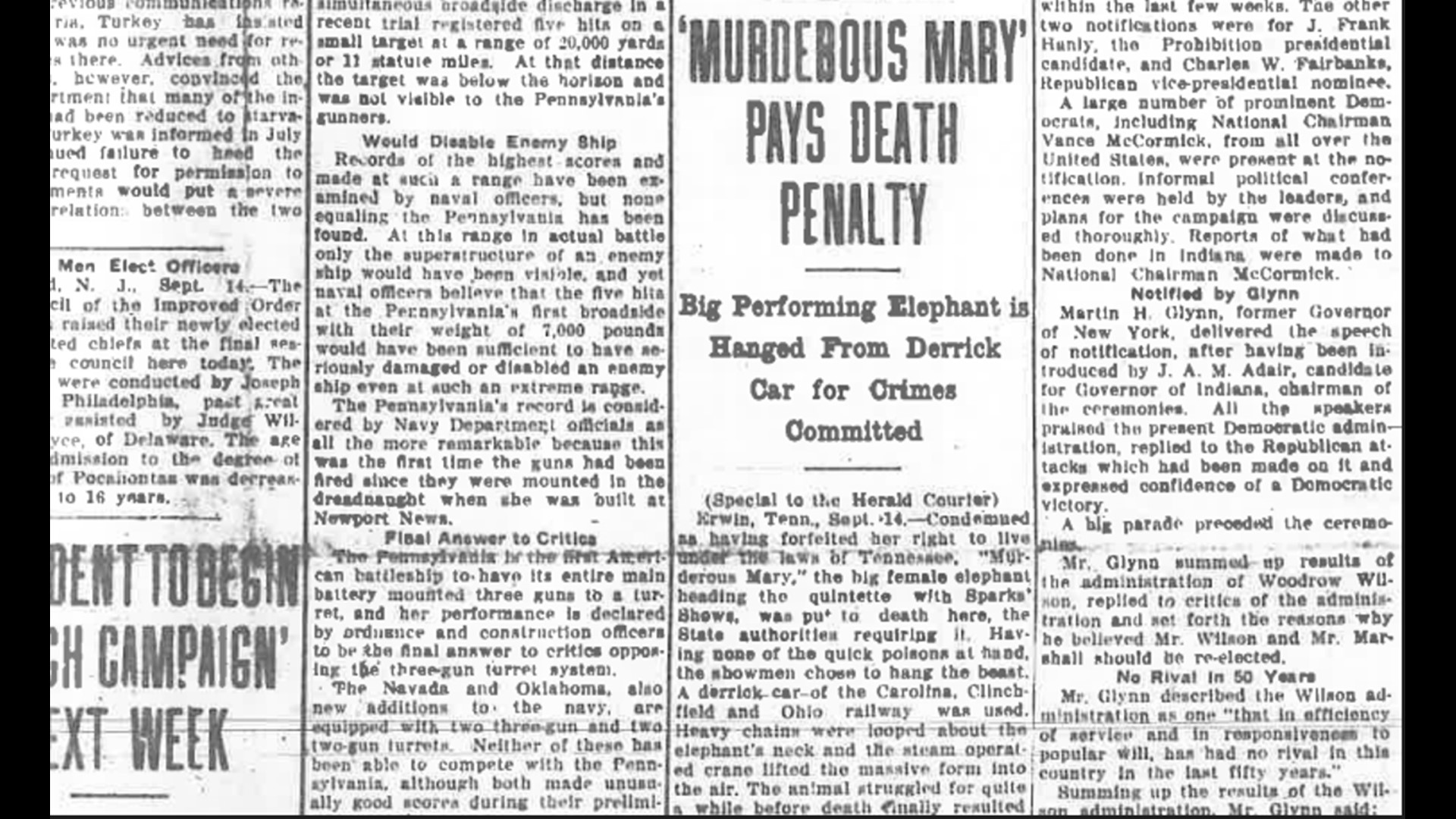 TN town's reputation suffers after elephant hanging | wbir.com