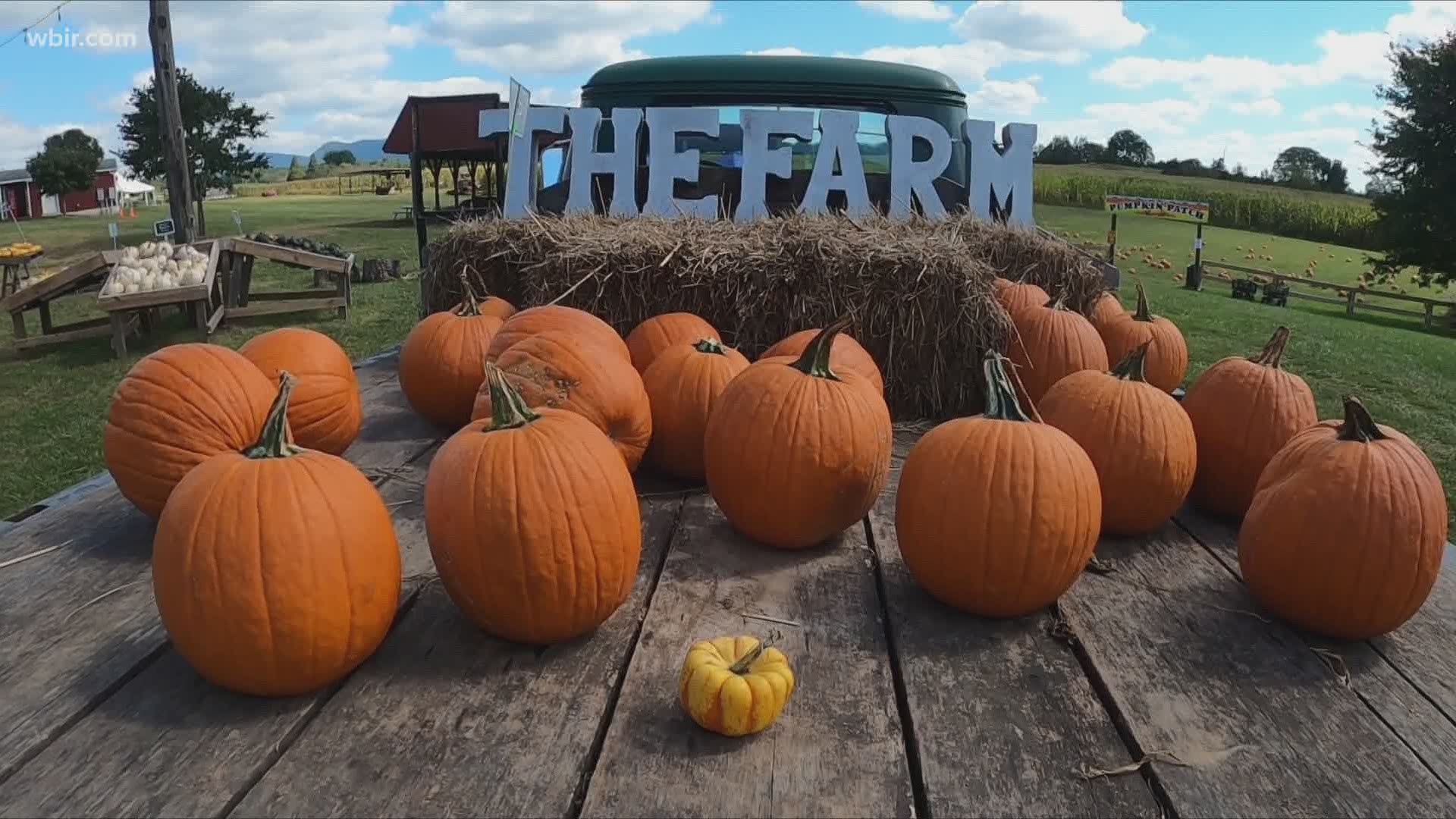 Oakes Farm opens with new guidelines | wbir.com