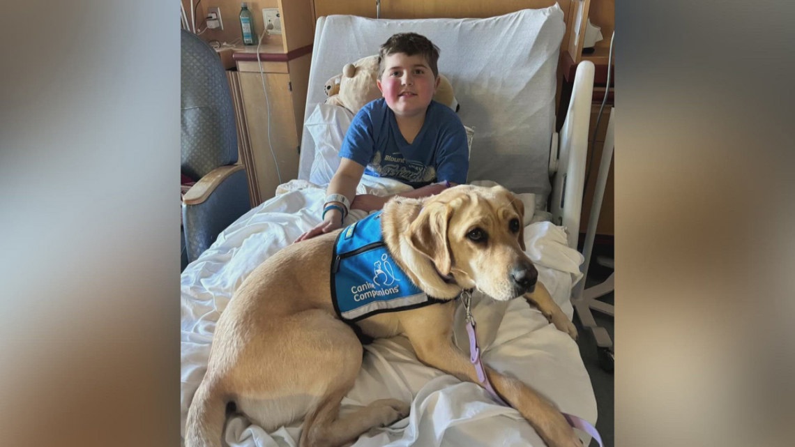 Maryville 9-year-old finds hope in fight against Duchenne muscular ...