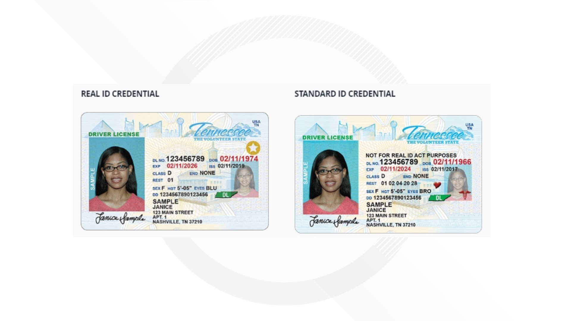 Here's what you need to know about the REAL ID in Tennessee | wbir.com