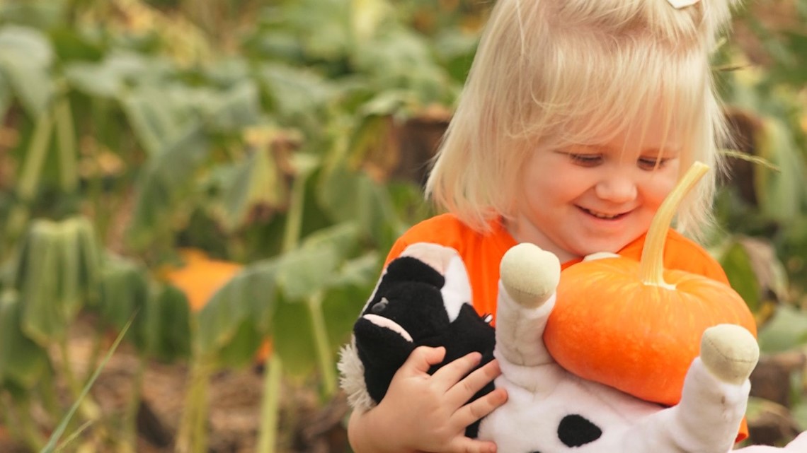 Ballinger Farm opens 'out-of-this-world' corn maze | wbir.com