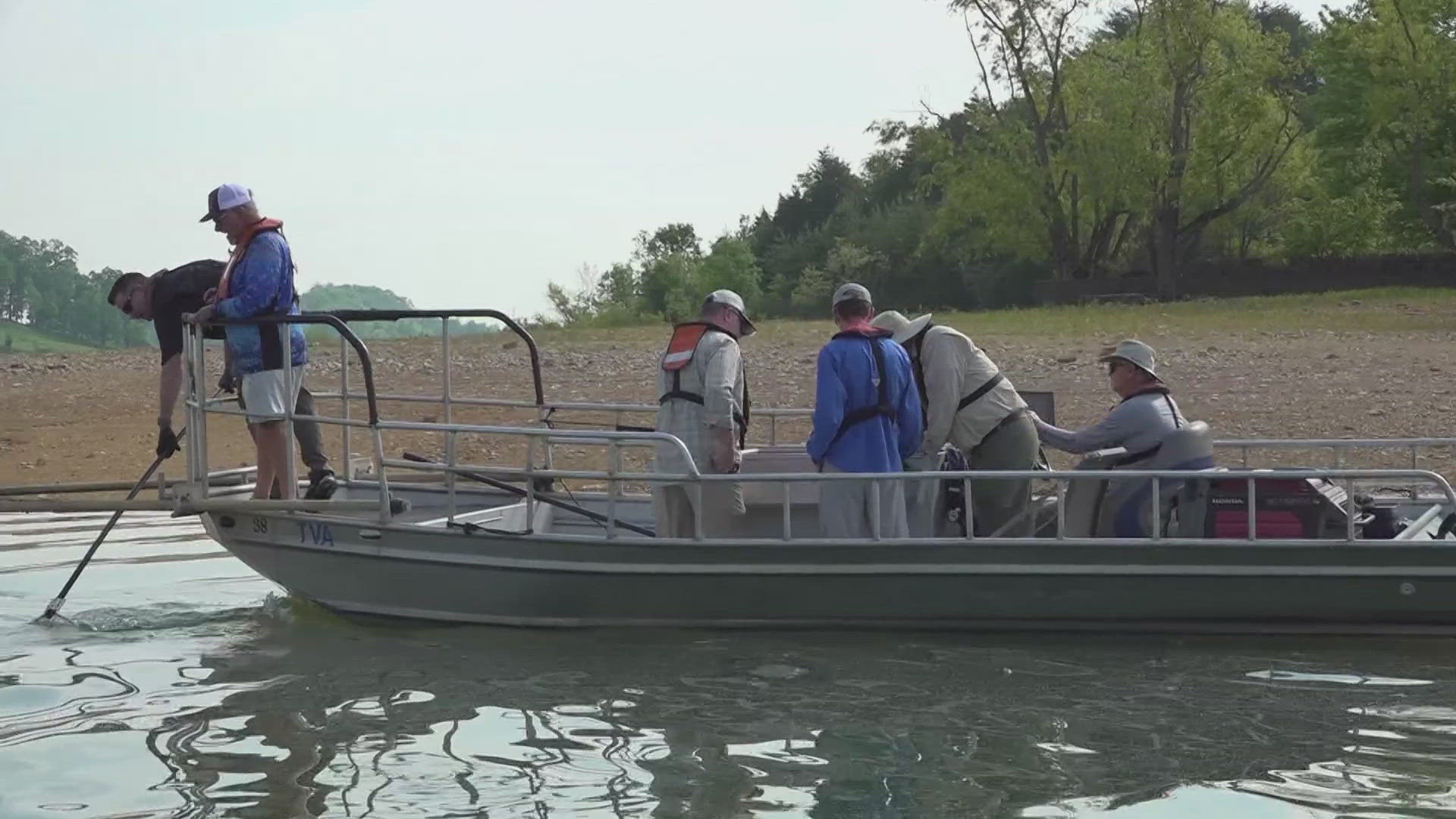 TVA, TWRA conduct fish survey to see if Hurricane Helene had impact on ...