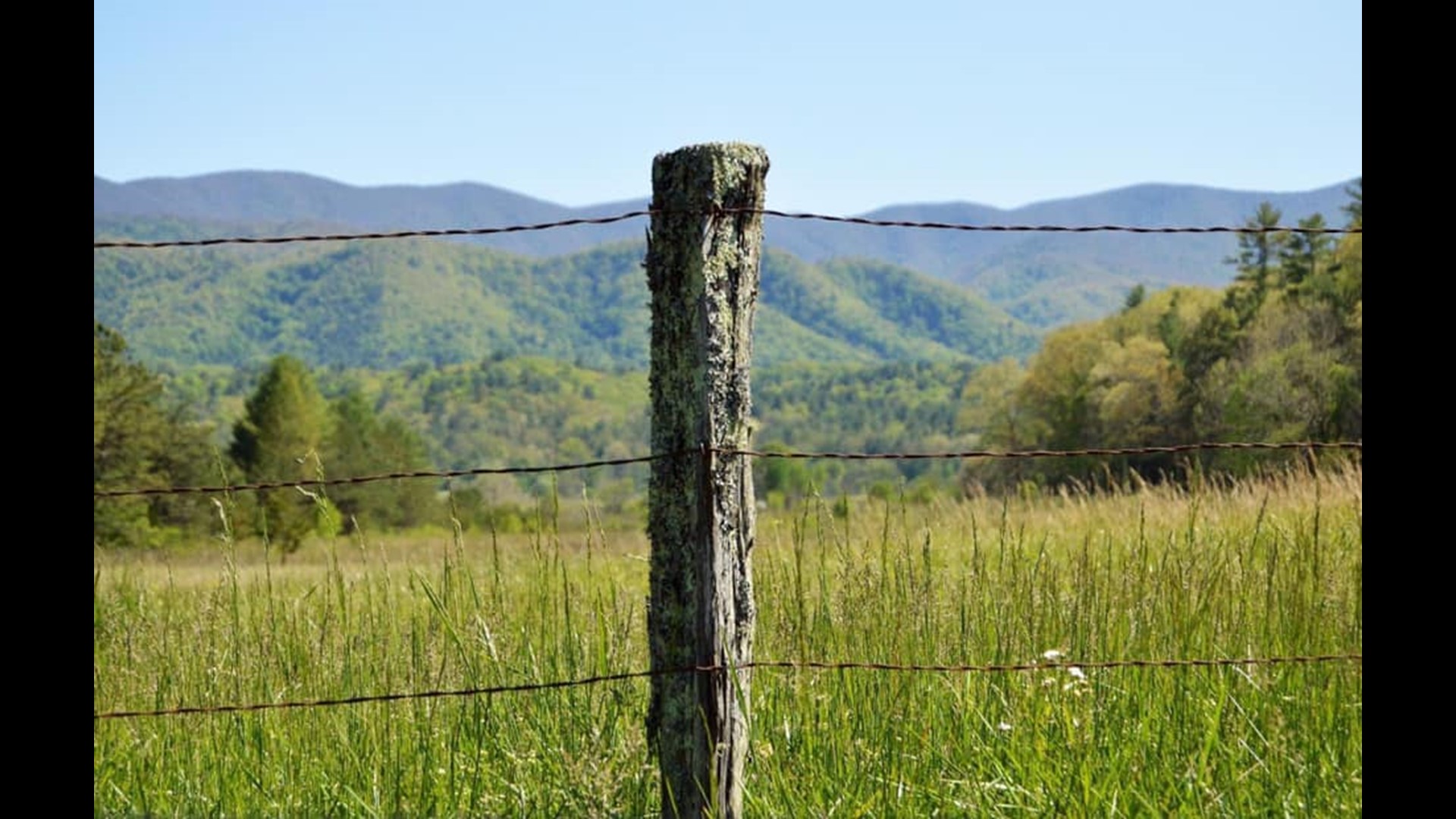 Eastern Band of Cherokee Indians may ask feds to restore name 'Kuwahi ...