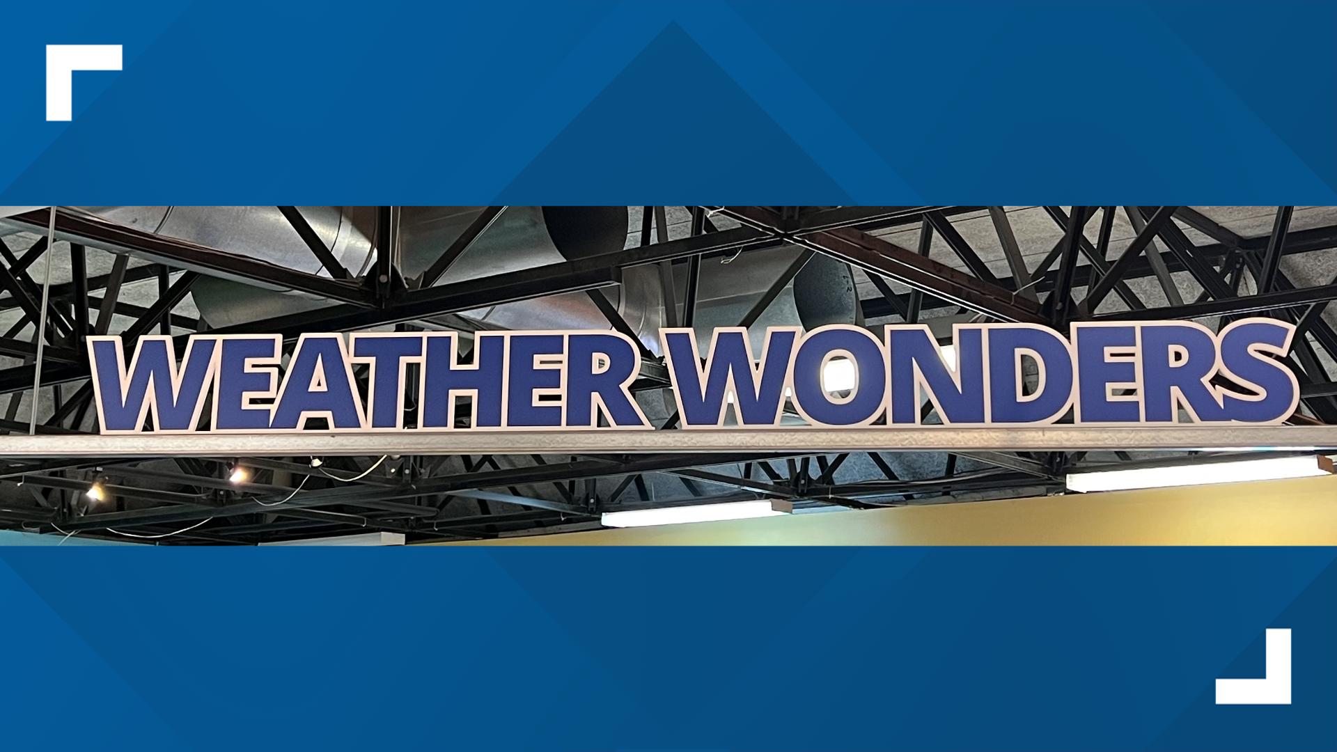 Muse Knoxville to unveil 'Weather Wonders' exhibit March 6 | wbir.com