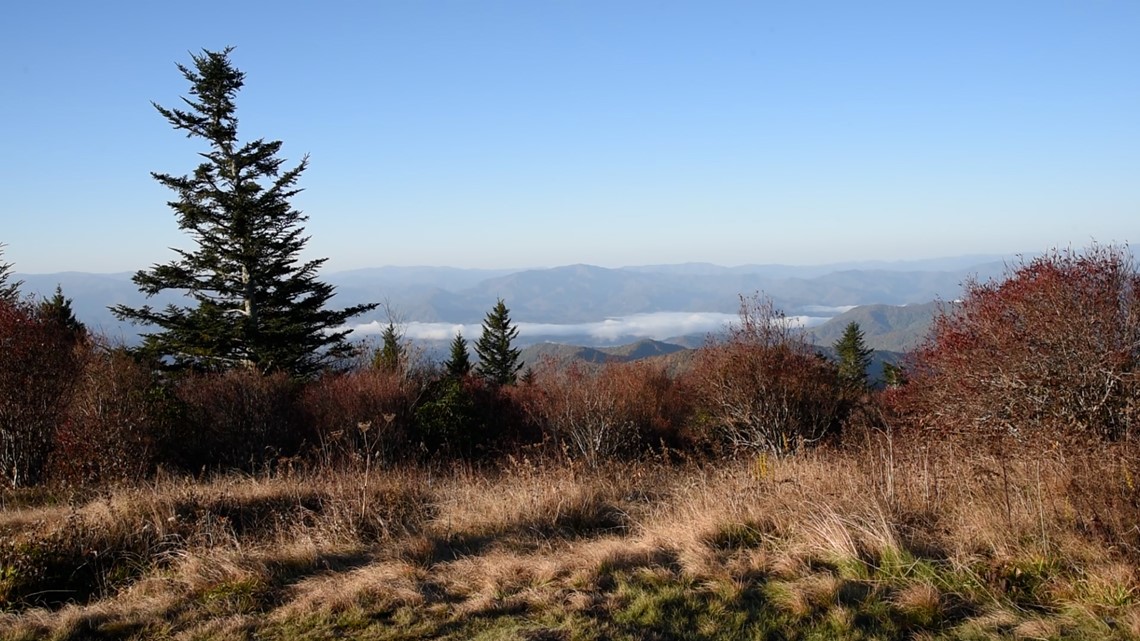 Hiking to Andrews Bald in the Great Smoky Mountains | wbir.com