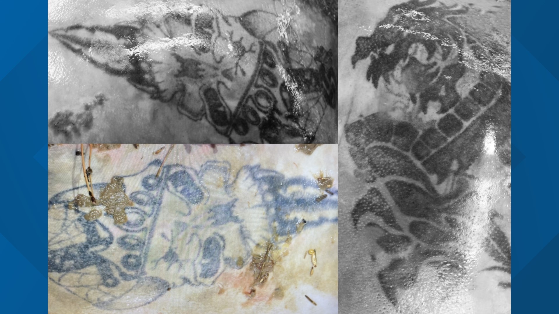 KPD identifies body found off Third Creek Greenway that had Aryan ...