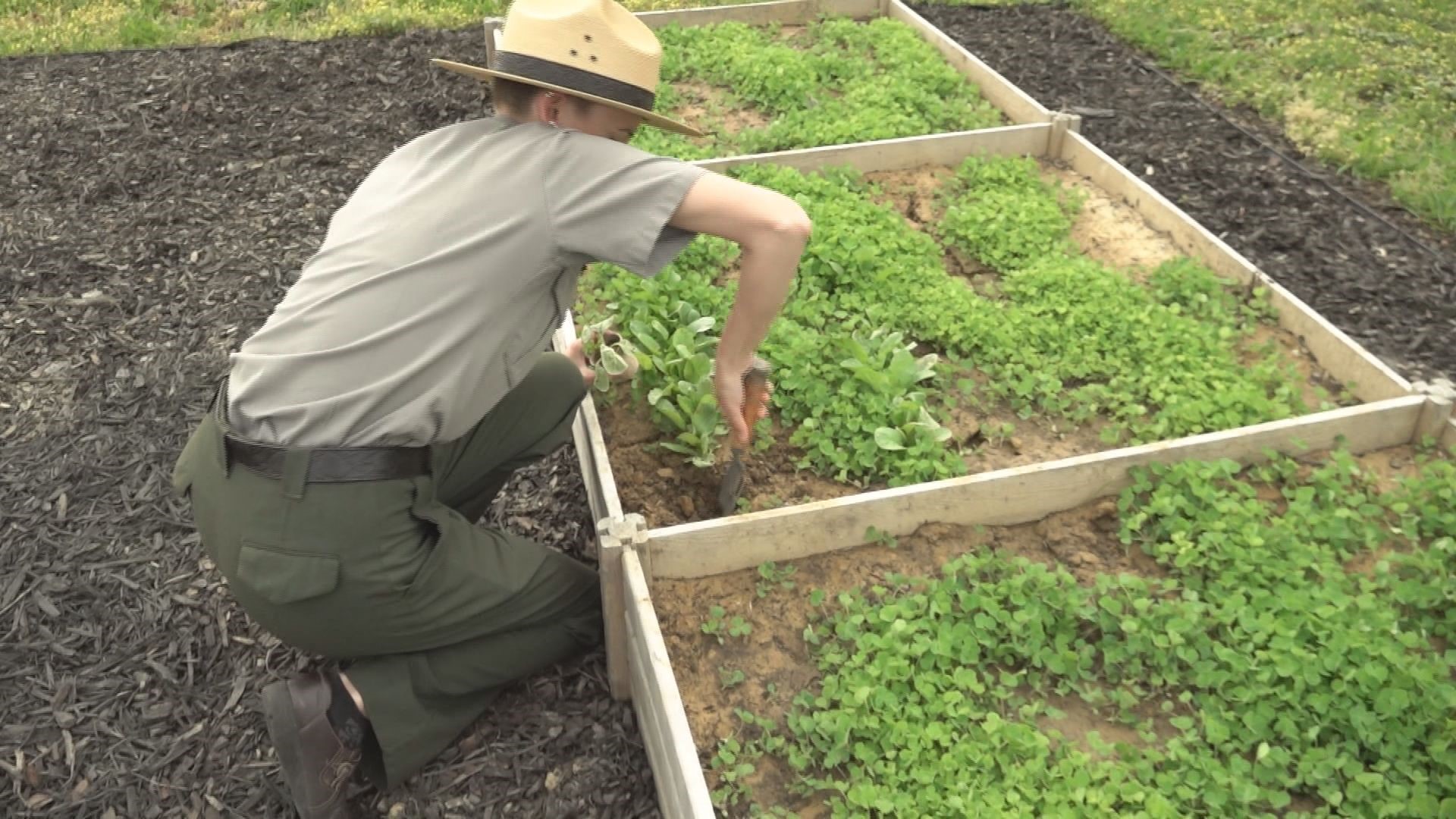 A decade later, Shannon Hercutt's homicide still a mystery | wbir.com