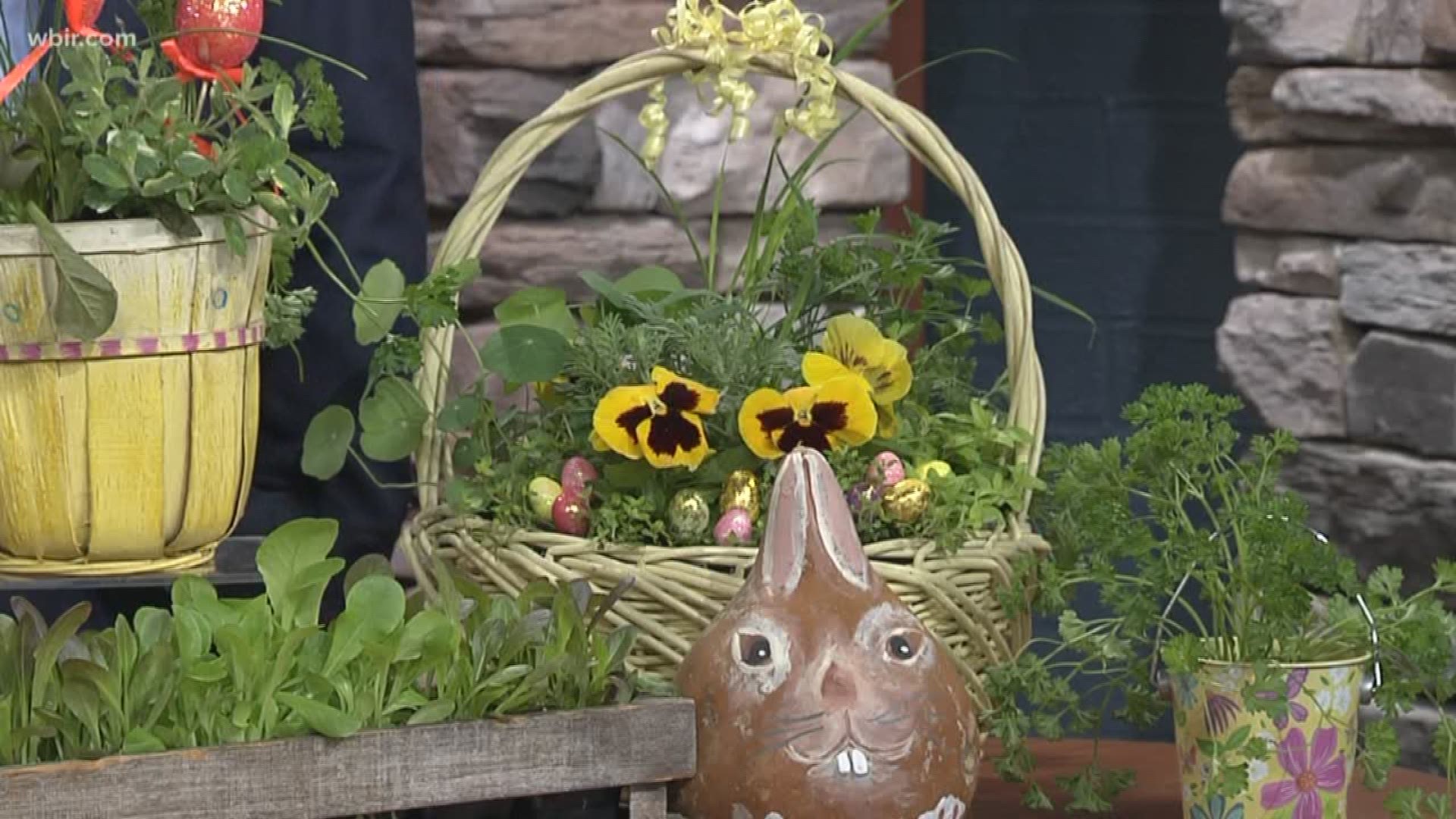Make a Living Easter Basket | wbir.com