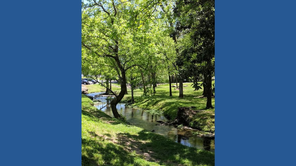 Sewer main break contaminates creek in Farragut, officials say to avoid ...