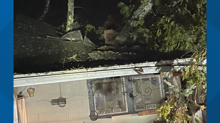 Fallen tree traps person in house on Whitlock Lane | wbir.com