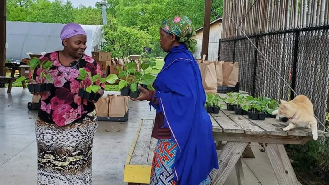 Beardsley Farm helping grow plants native to communities where some ...