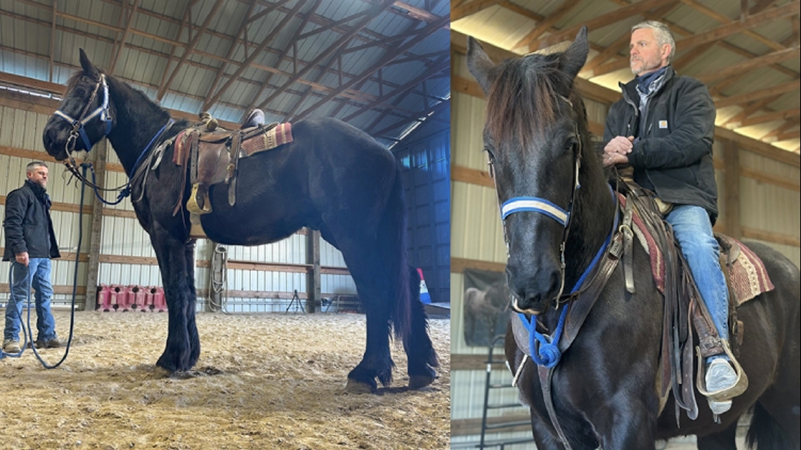 KPD to bring back Mounted Patrol Unit in 2025 | wbir.com