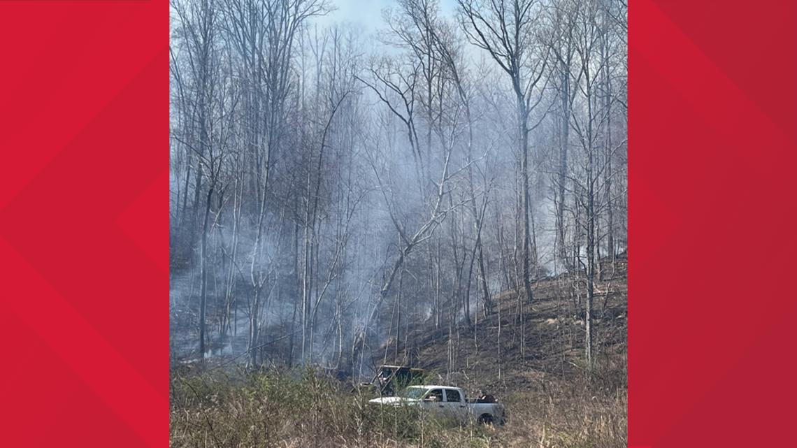 Fire crews tackle 5-acre wildfire in Halls Community | wbir.com