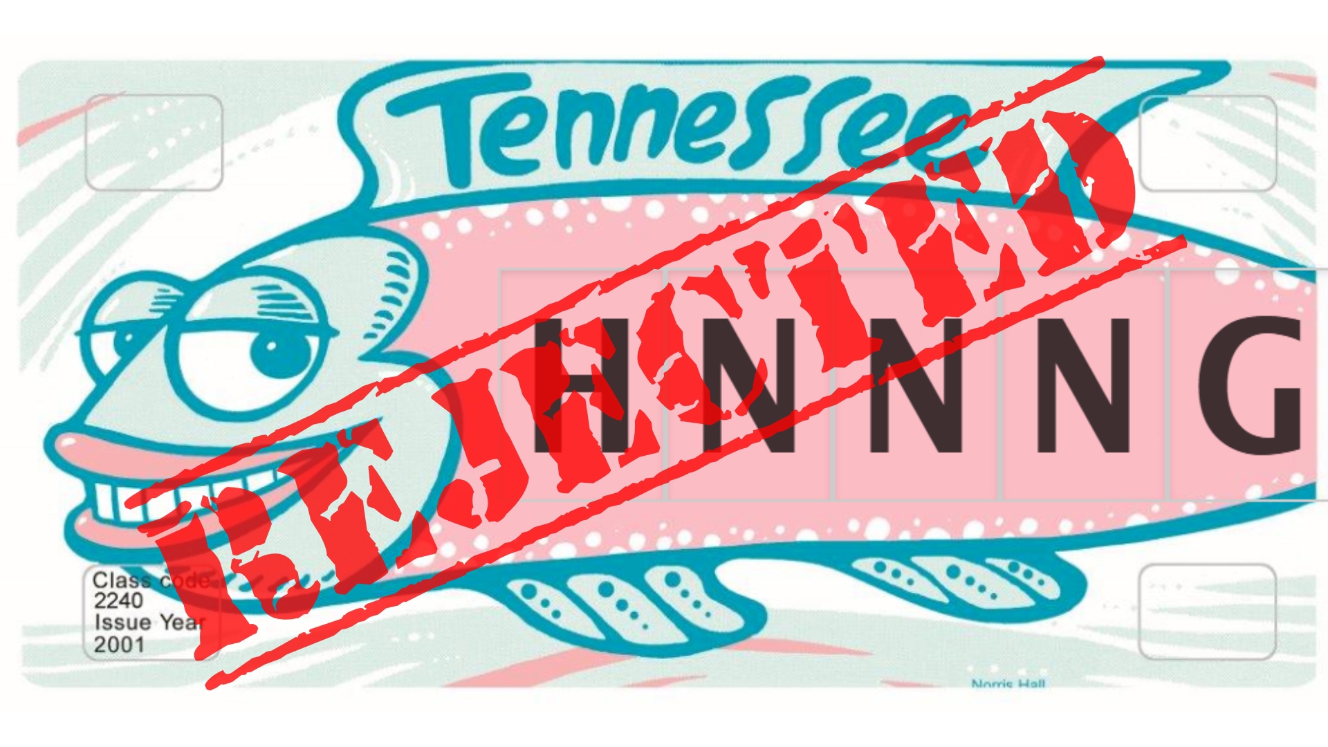 From DINGUS to D011E: Here are the personalized license plates ...