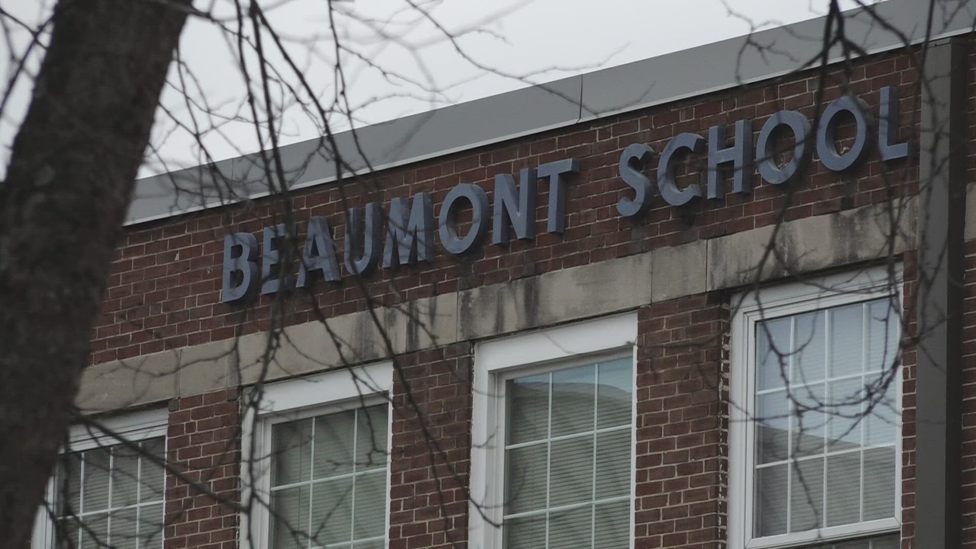 California homeowner rolls out 'unwelcome' mat for black bear living ...