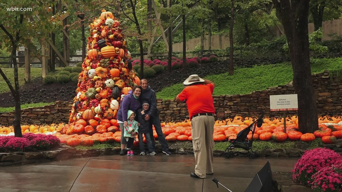 Dollywood Temporarily Closes Its Gates Again After Hitting COVID 19 dollywood-temporarily-closes-its-gates-again-after-hitting-covid-19