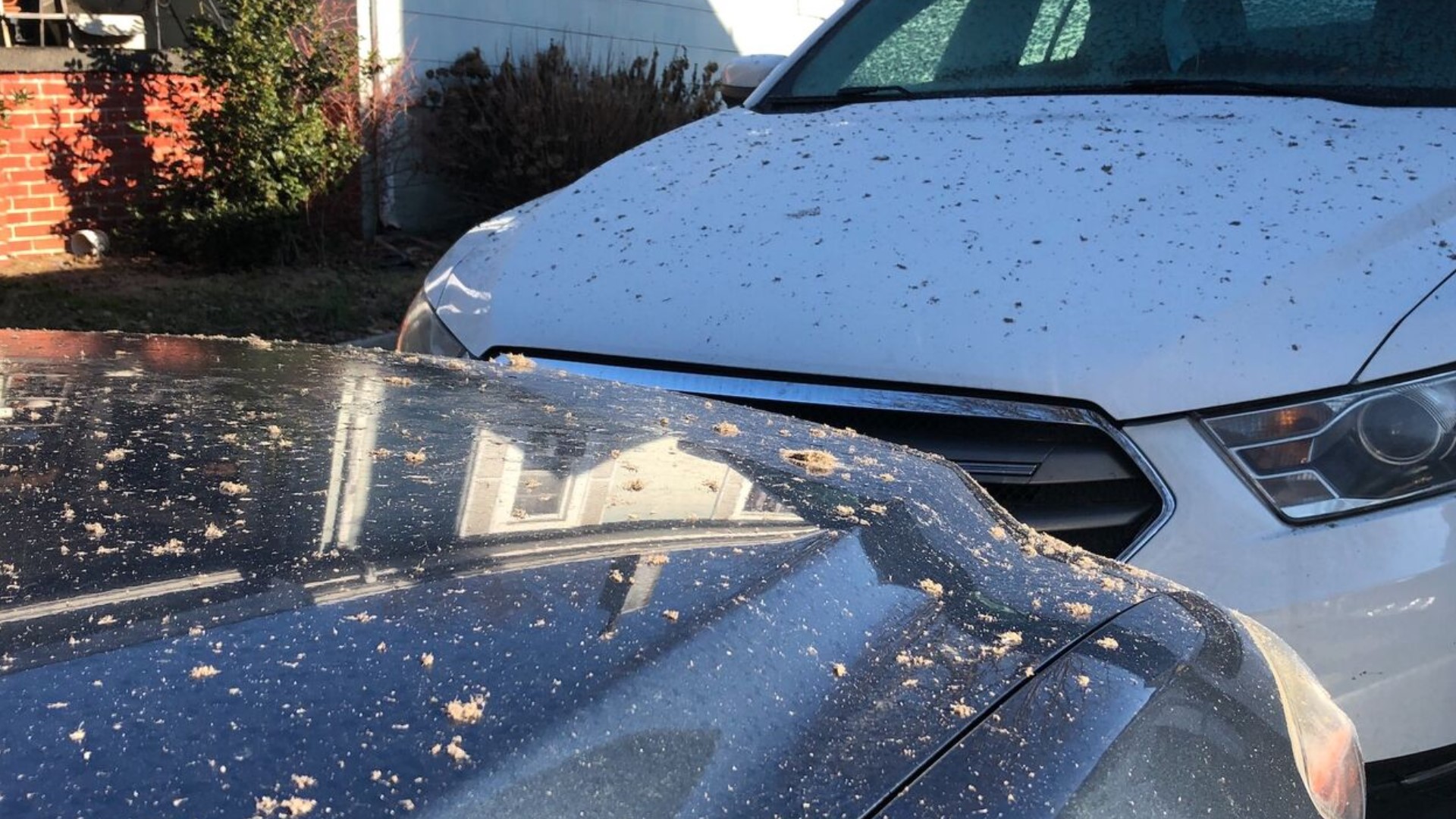 5 injured after 'high pressure steamline failure' at Eastman Chemical ...