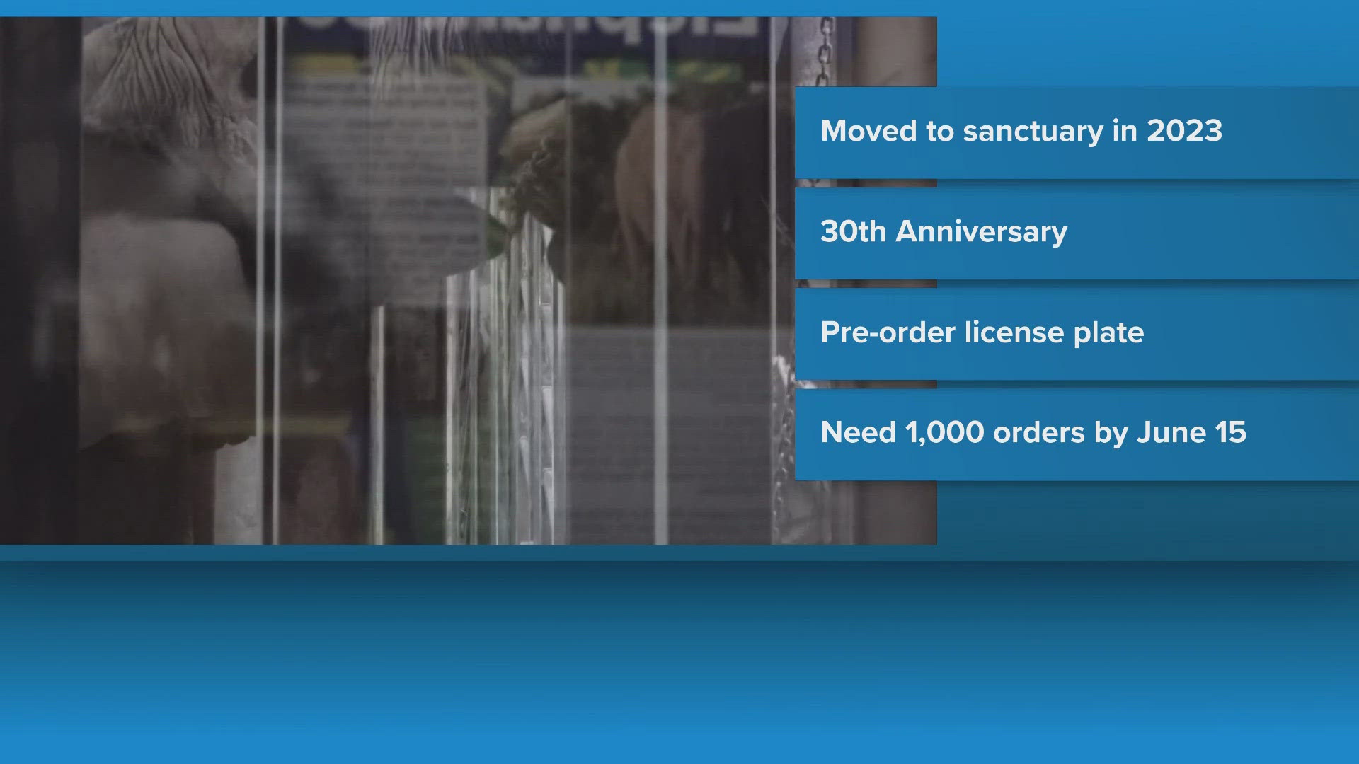 Tennessee Elephant Sanctuary celebrates 30 years with Edie-themed ...