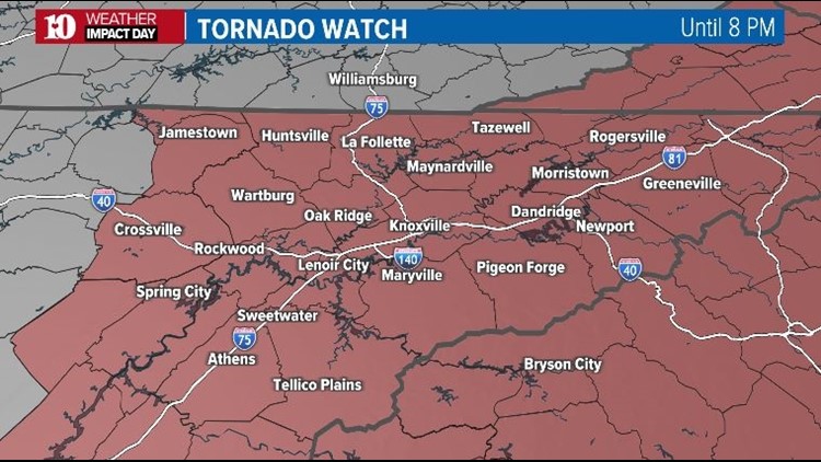 How to spot poison ivy and other irritating plants around Tennessee ...