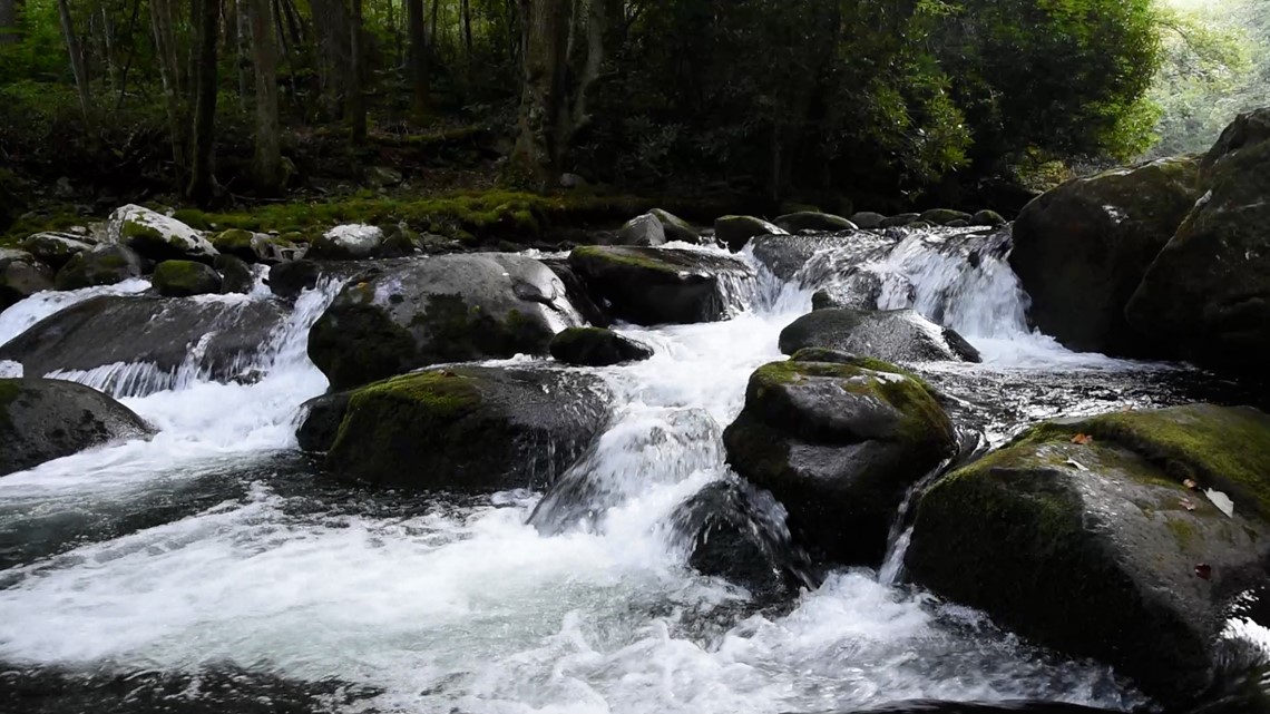 Hiking Little River Trail in the Great Smoky Mountains | wbir.com