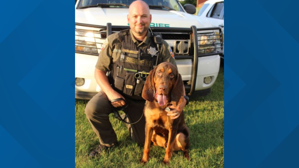 Tennessee bloodhound helps locating missing 6-year-old girl | wbir.com