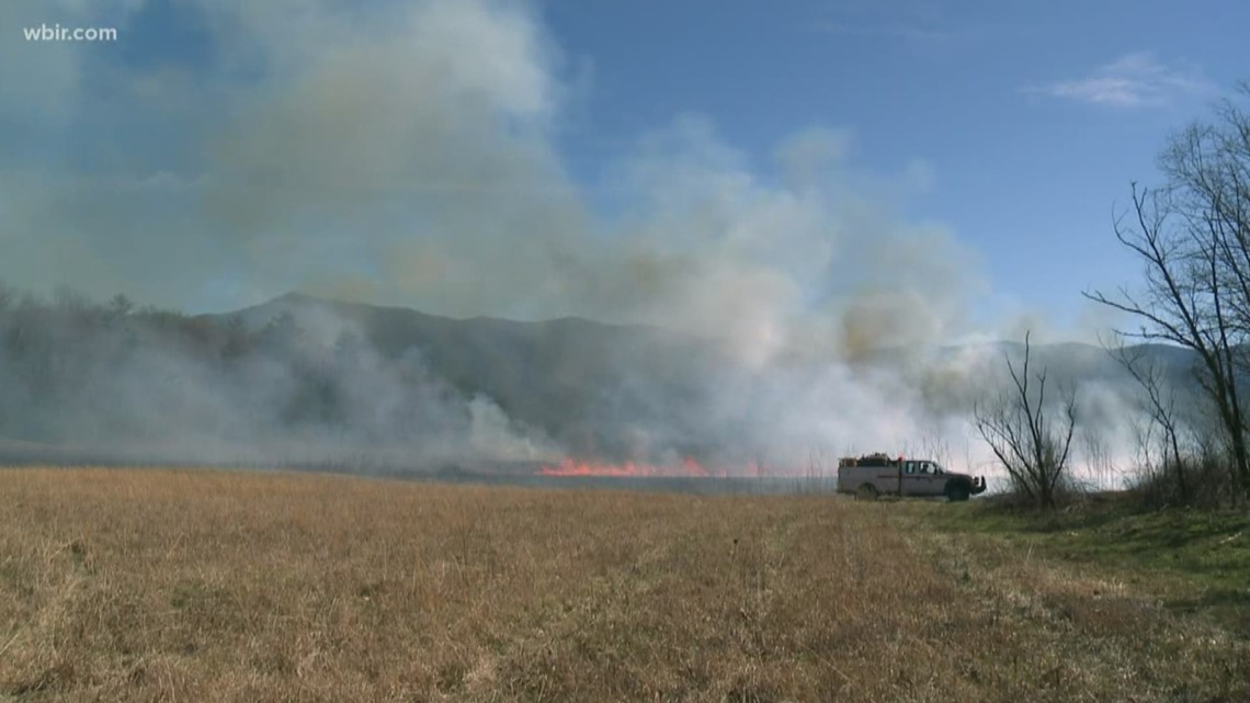 Cherokee National Forest plans prescribed burns in March and April ...