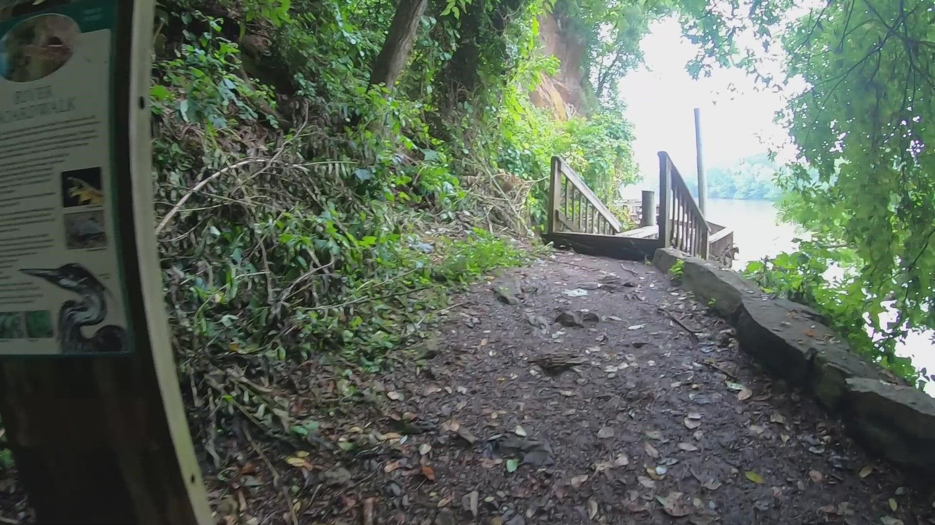 Walk along the Ijams River Boardwalk | wbir.com