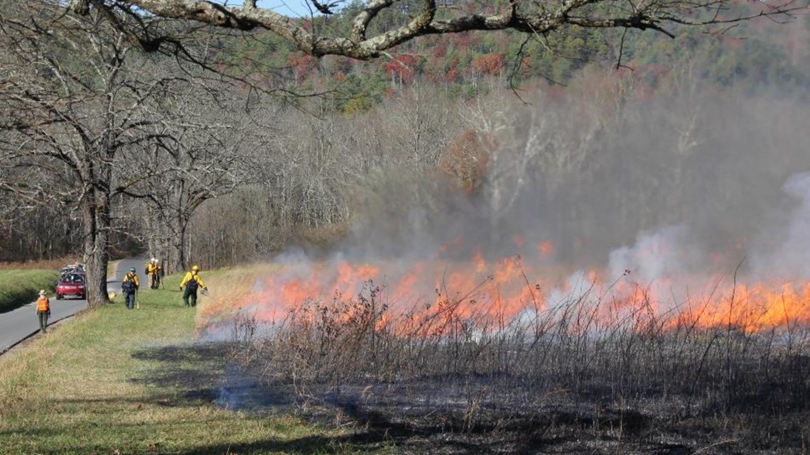 Smokier Mountains: Prescribed burns happening in Cades Cove | wbir.com