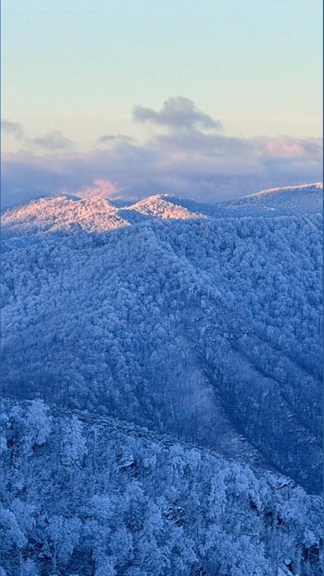 Mount LeConte hits the coldest temperature in all contiguous U.S. at 3 ...
