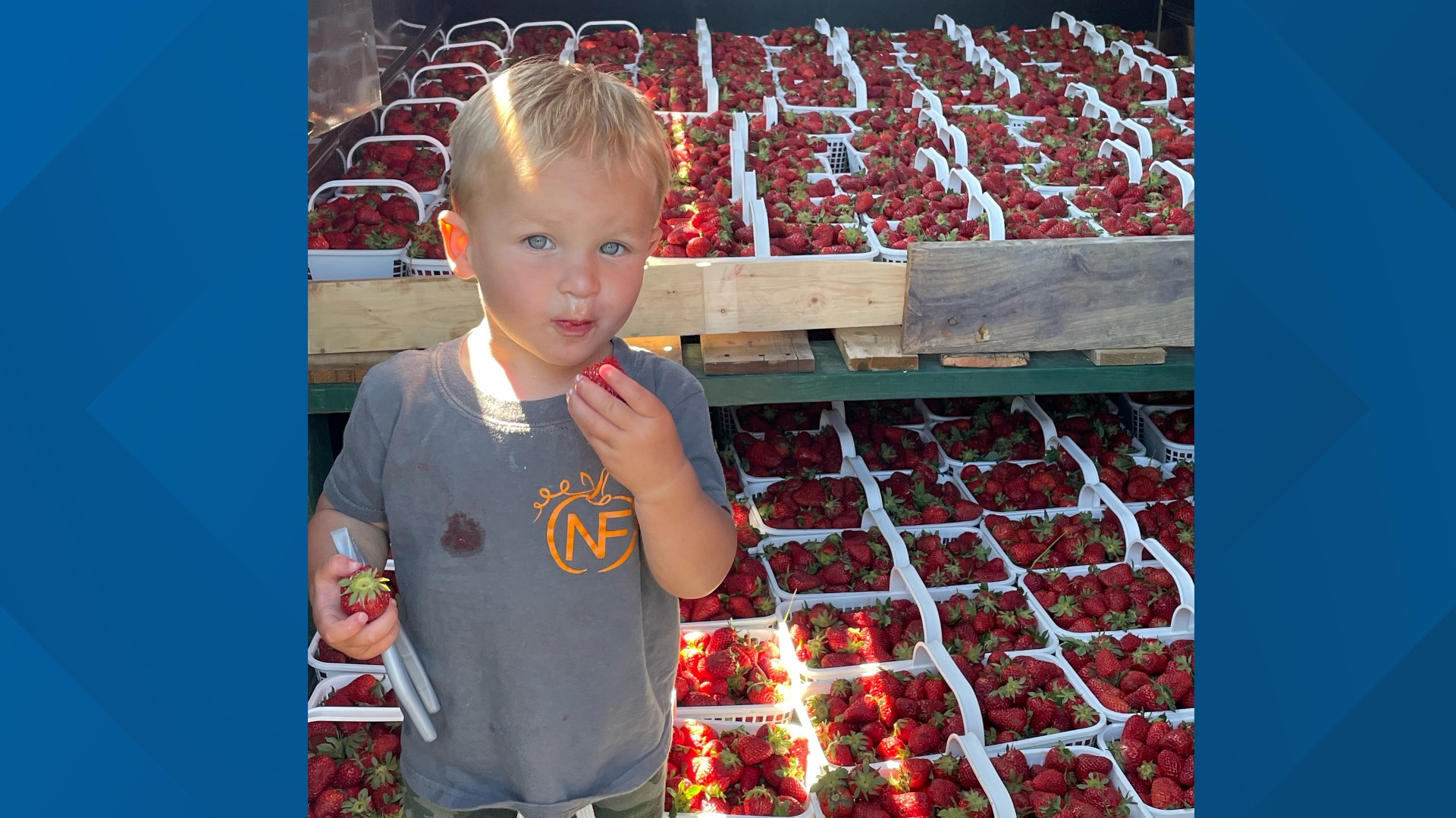 10 About Town: Narramore Farms celebrates summer with strawberry ...