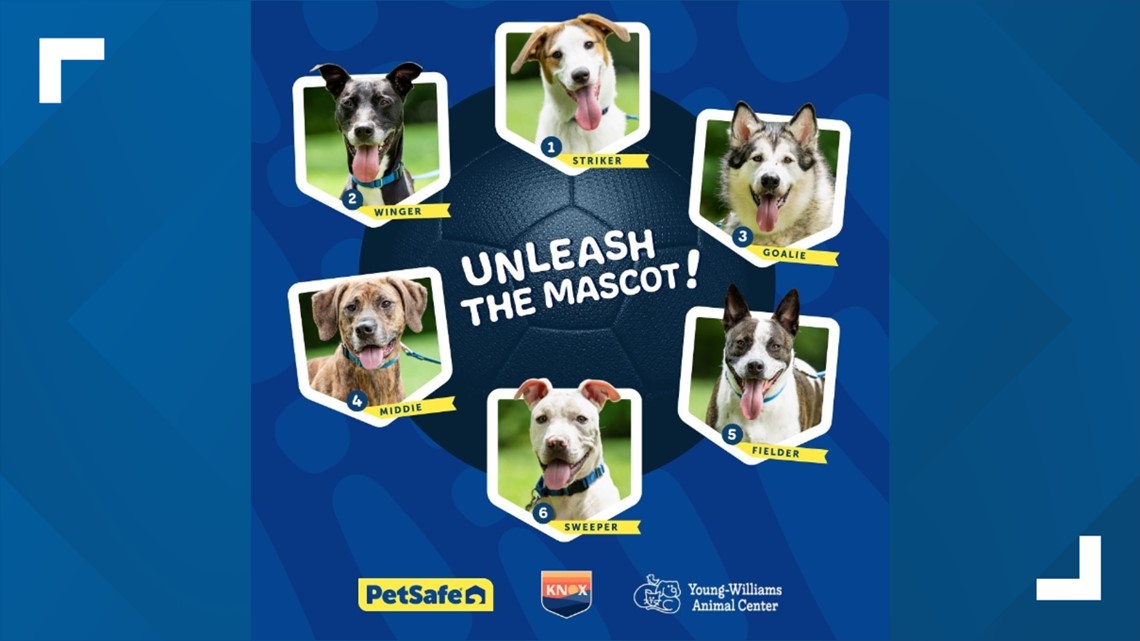 One Knox SC to unveil new mascot at Saturday game | wbir.com