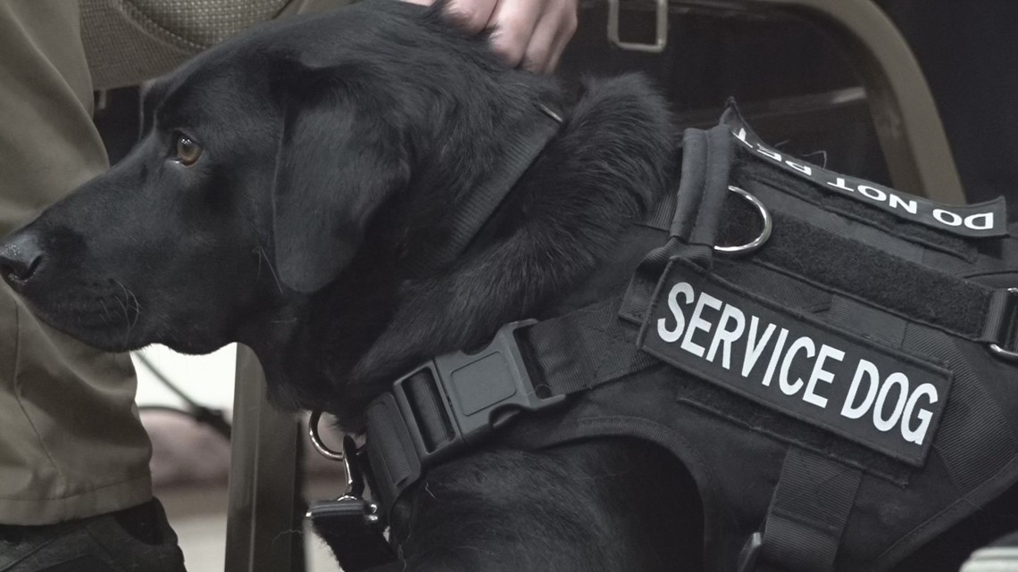 Paws and Badges hosts service dog graduation | wbir.com