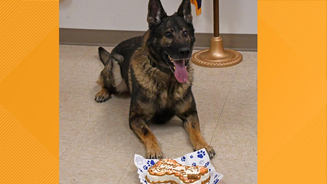 K-9 Bruno retires after seven years of courageous service for UTPD ...