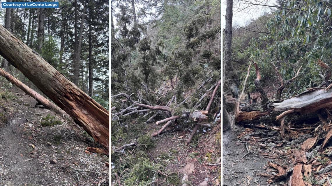 High winds damage Alum Cave Trail in Smoky Mountains | wbir.com