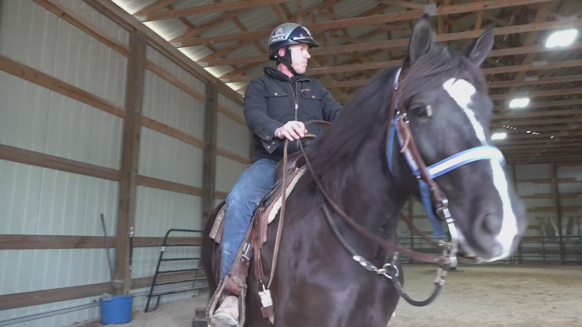 KPD to bring back Mounted Patrol Unit in 2025 | wbir.com