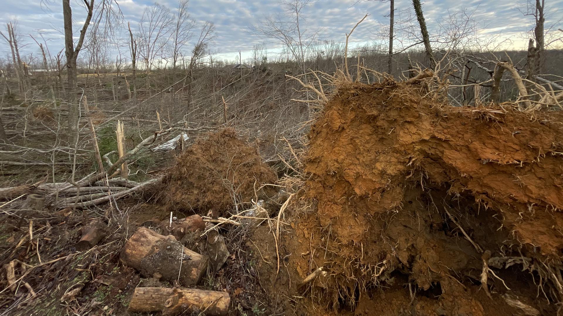 Storms bring dangerous winds, rain and hail to East TN; 2 deaths ...